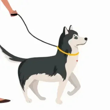 HarnessBuddy - The Original Personalized Dog Harness