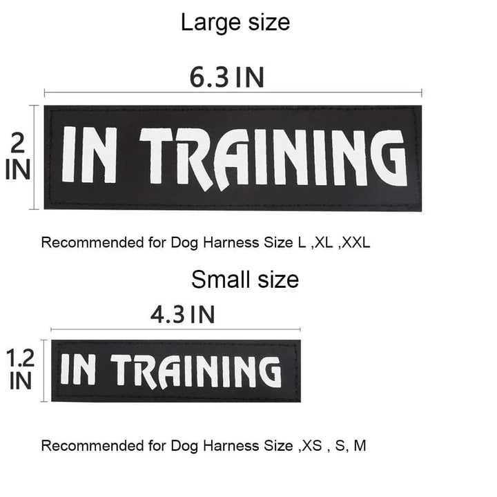 HarnessBuddy - The Original Personalized Dog Harness